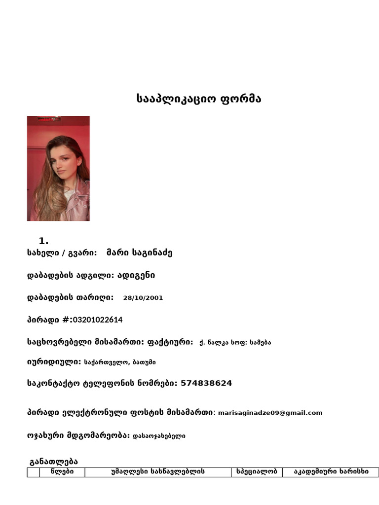 481058584 CV1 რეზიუმე | PDF