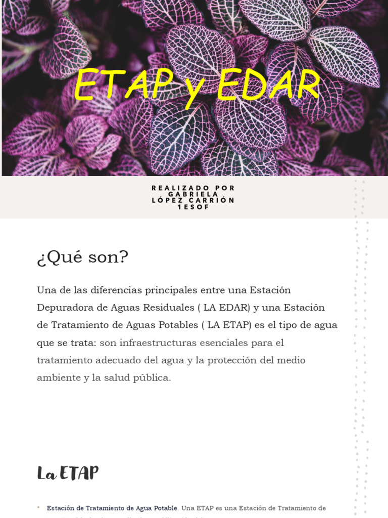 etap y edar | PDF