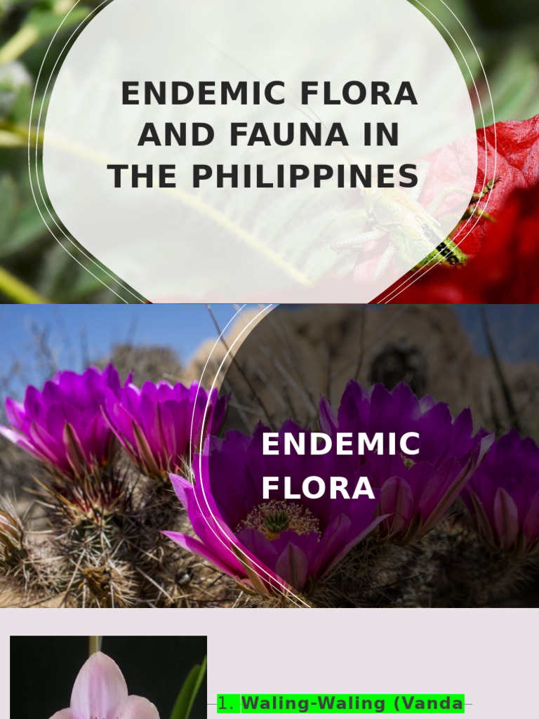 Endemic Flora and Fauna in Philippines | PDF