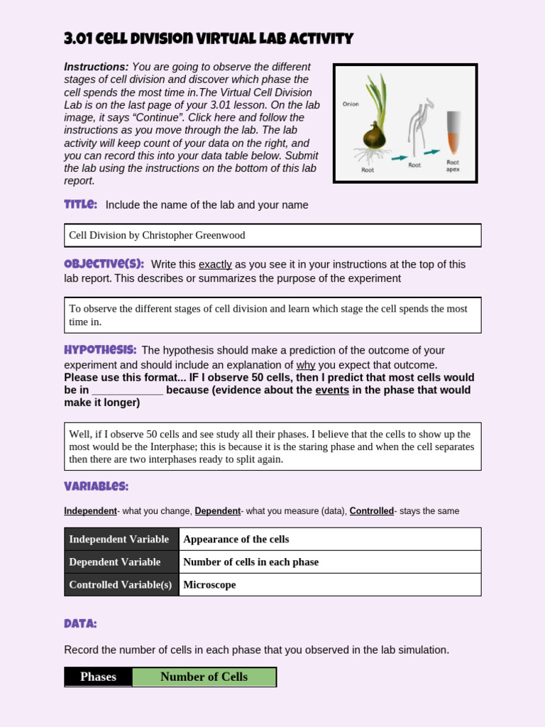 Cell Division Virtual Lab Report | PDF | Cell Biology | Biology
