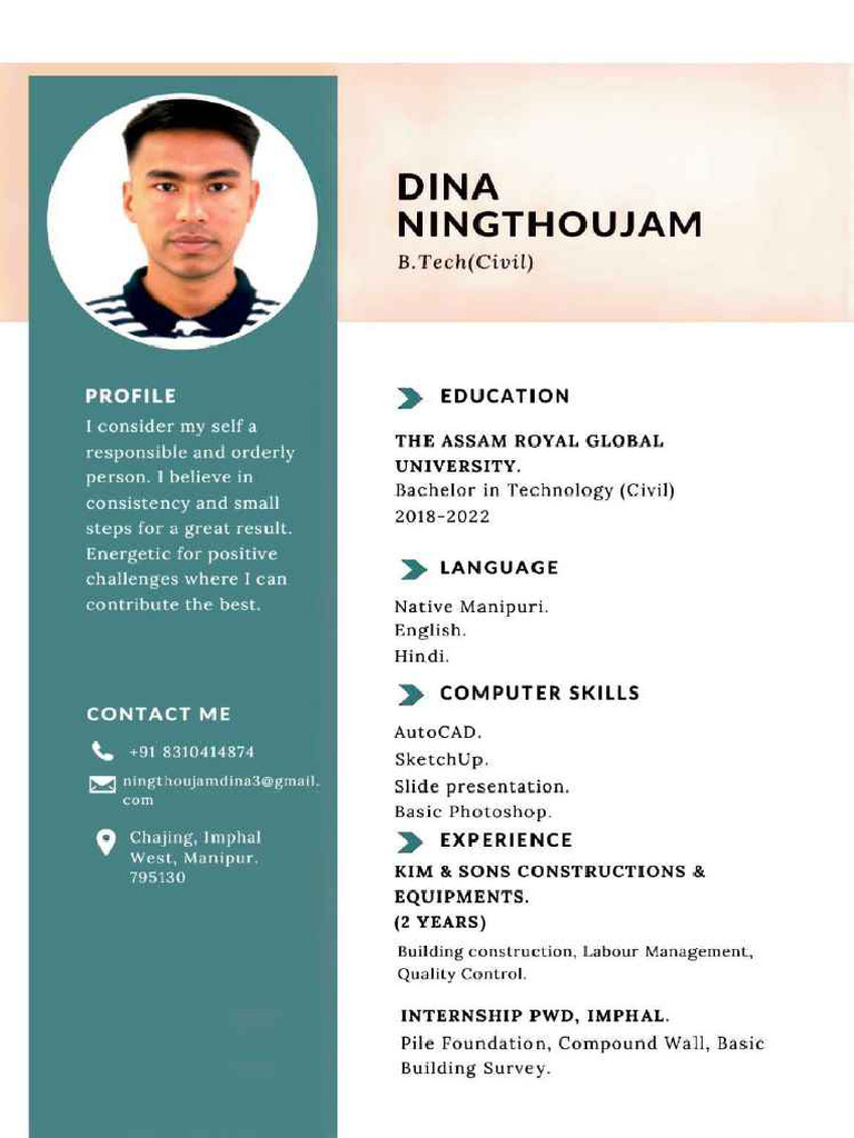 Dina's Resume | PDF