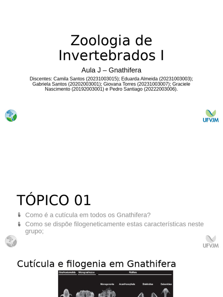 Zoologia de Invertebrados I - Aula J | PDF | Biologia | Zoologia