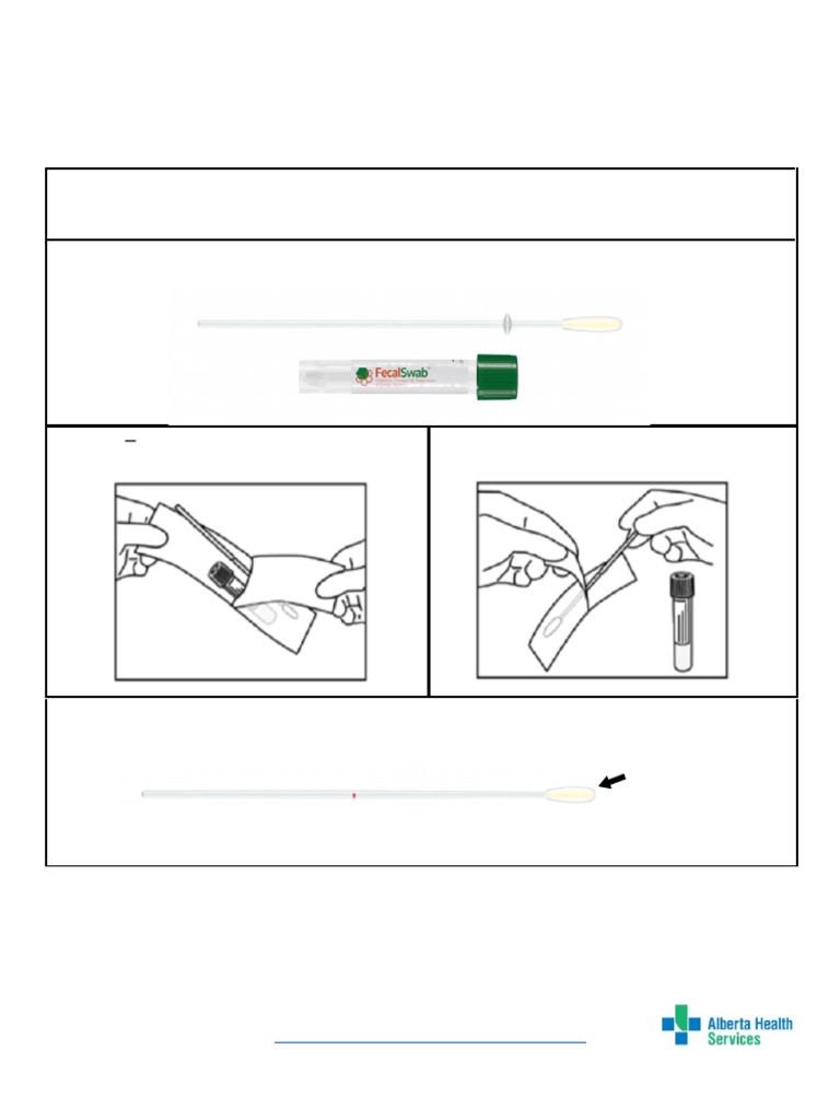 If HP Phys Moh Edm Shigella Rectal Swab Instructions | PDF