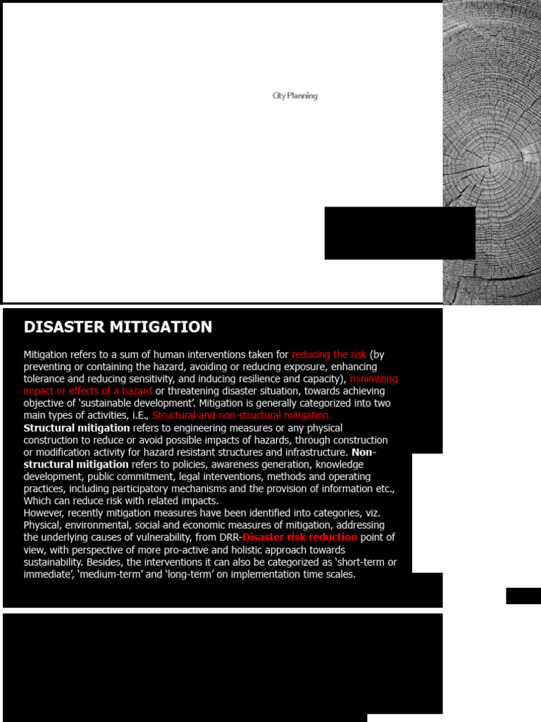 The importance of disaster mitigation in building resilient cities ...