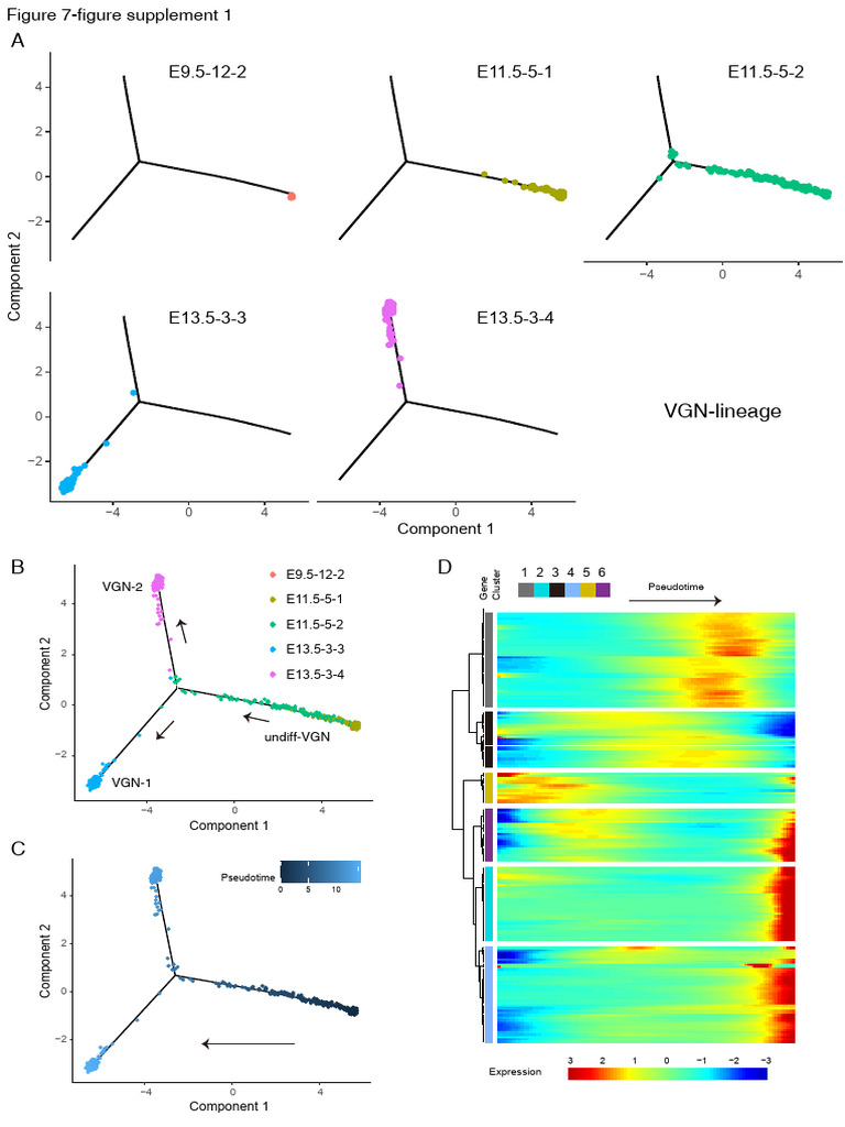 Figure 7-Supplement Fig 1 | PDF
