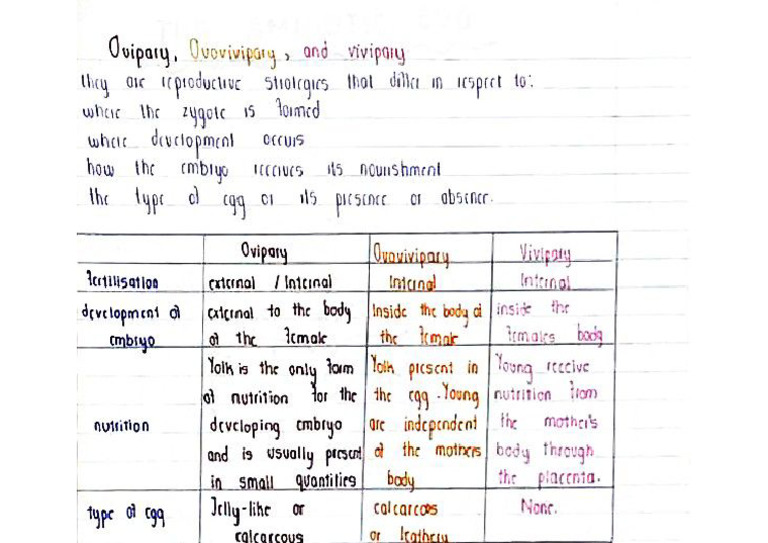 Reproductive Table | PDF