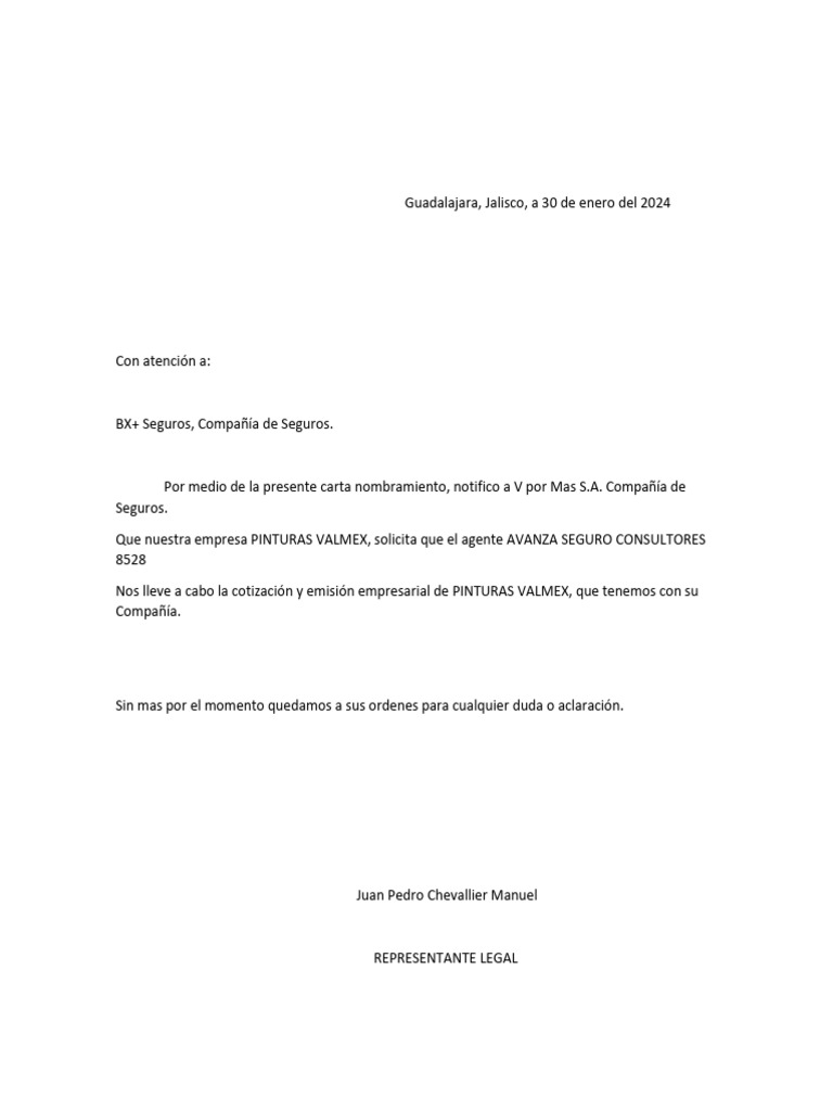 Carta Nombramiento | PDF