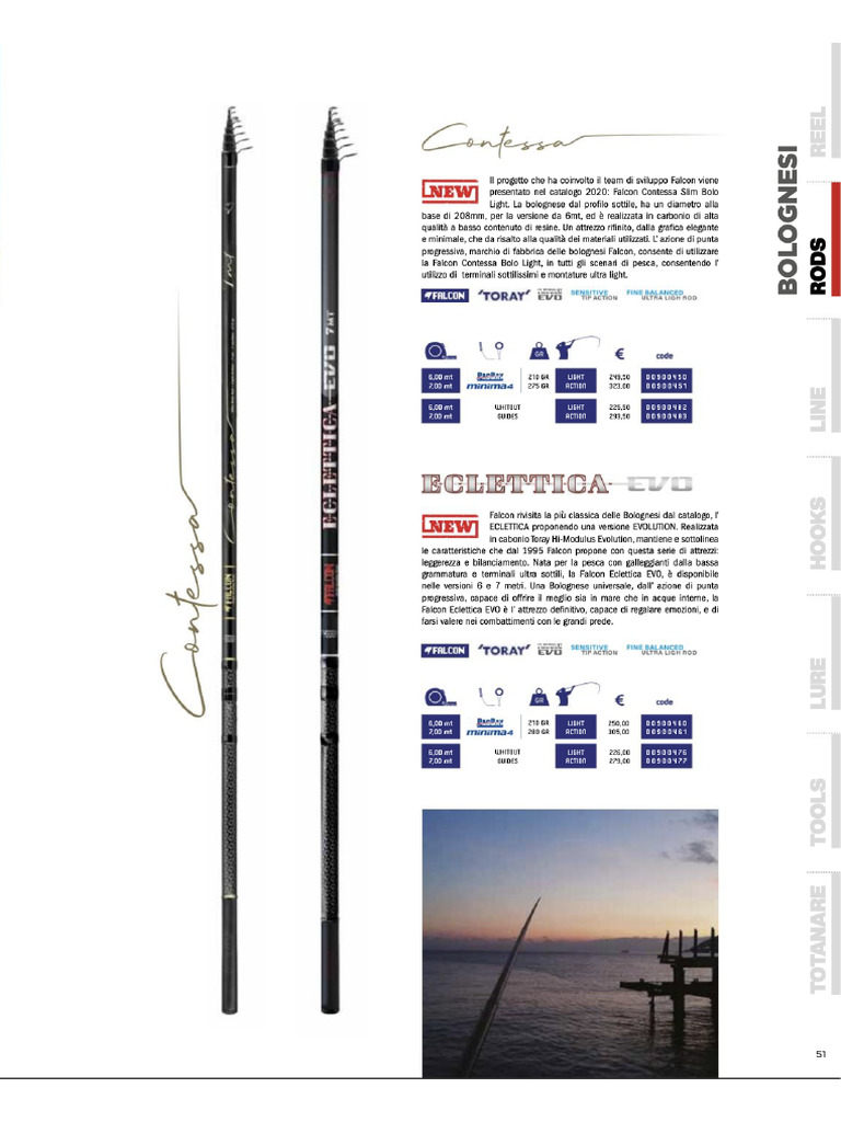 FALCON 2020 | PDF