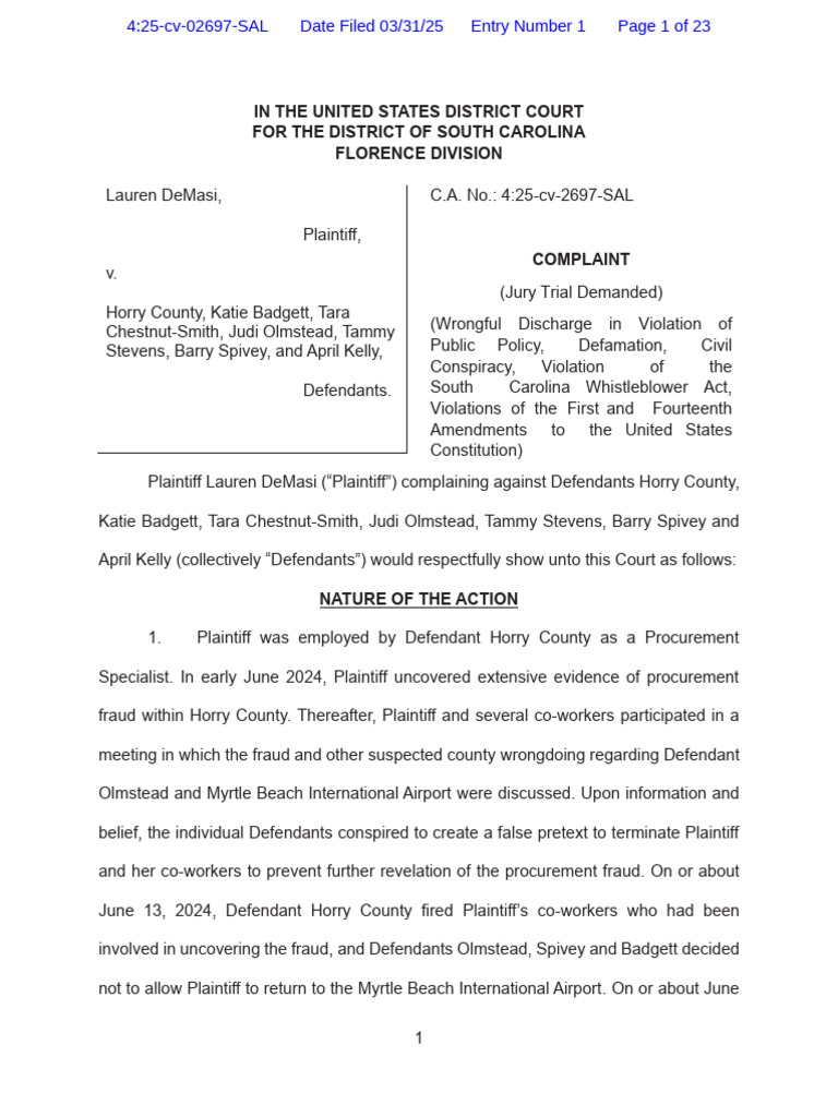 DeMasi vs. Horry County Lawsuit | PDF | Legal Remedy | Lawsuit