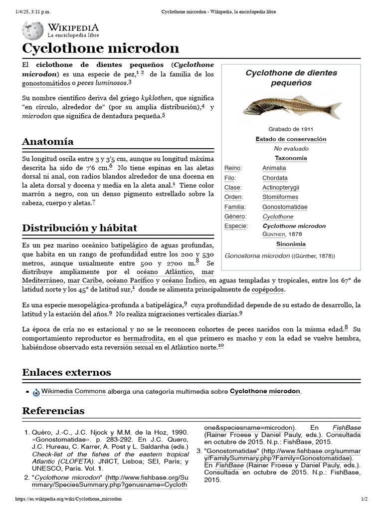 Cyclothone Microdon - Wikipedia, La Enciclopedia Libre | PDF
