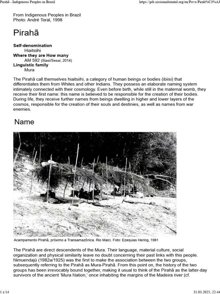 Pirahã Indigenous People Overview | PDF | Kinship