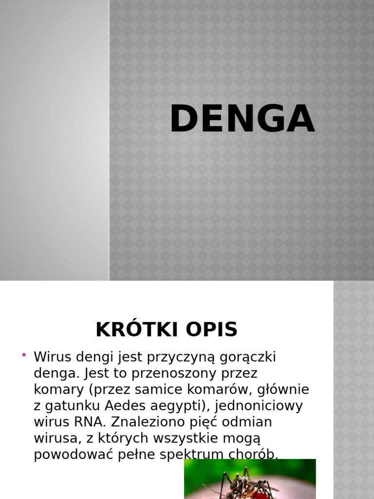 Denga | PDF