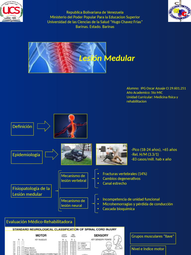 Lesion Medular | PDF | Neurología | Especialidades Medicas