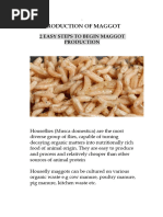 Maggot Farming | PDF | Fly | Agriculture