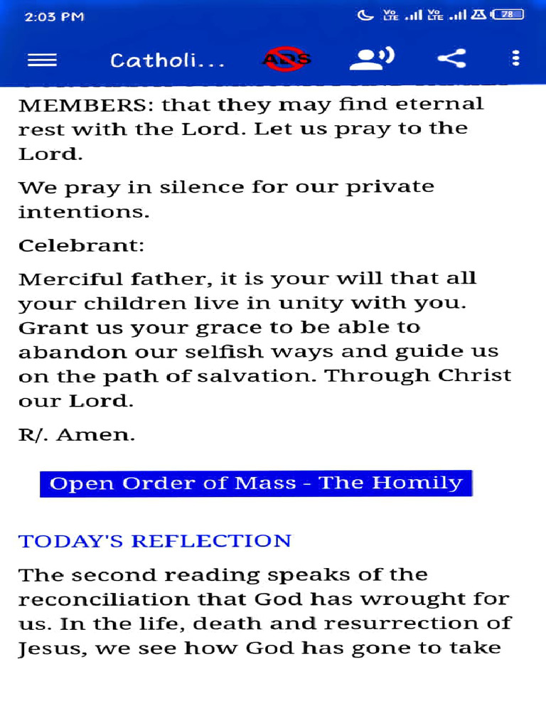 reflection homily(4) | PDF