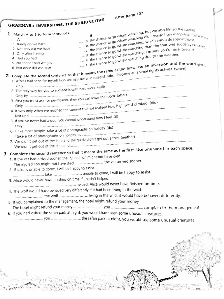 grammar exercises unit 9 | PDF