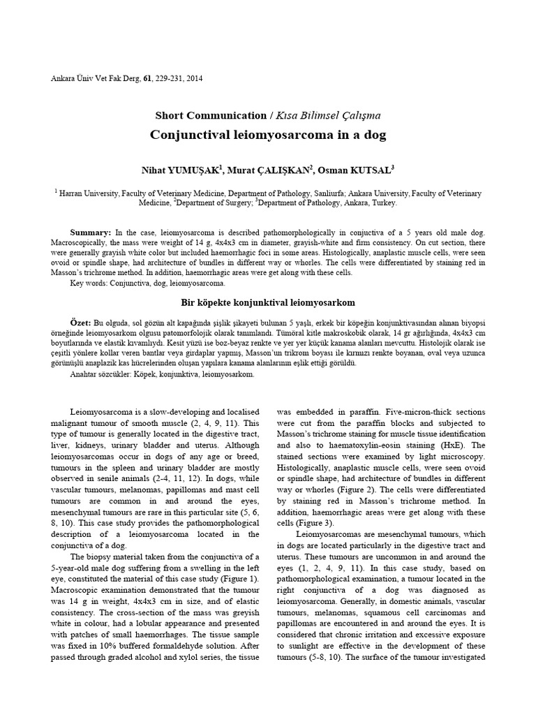 10.1501 Vetfak - 0000002634 658279 | PDF | Staining | Neoplasms
