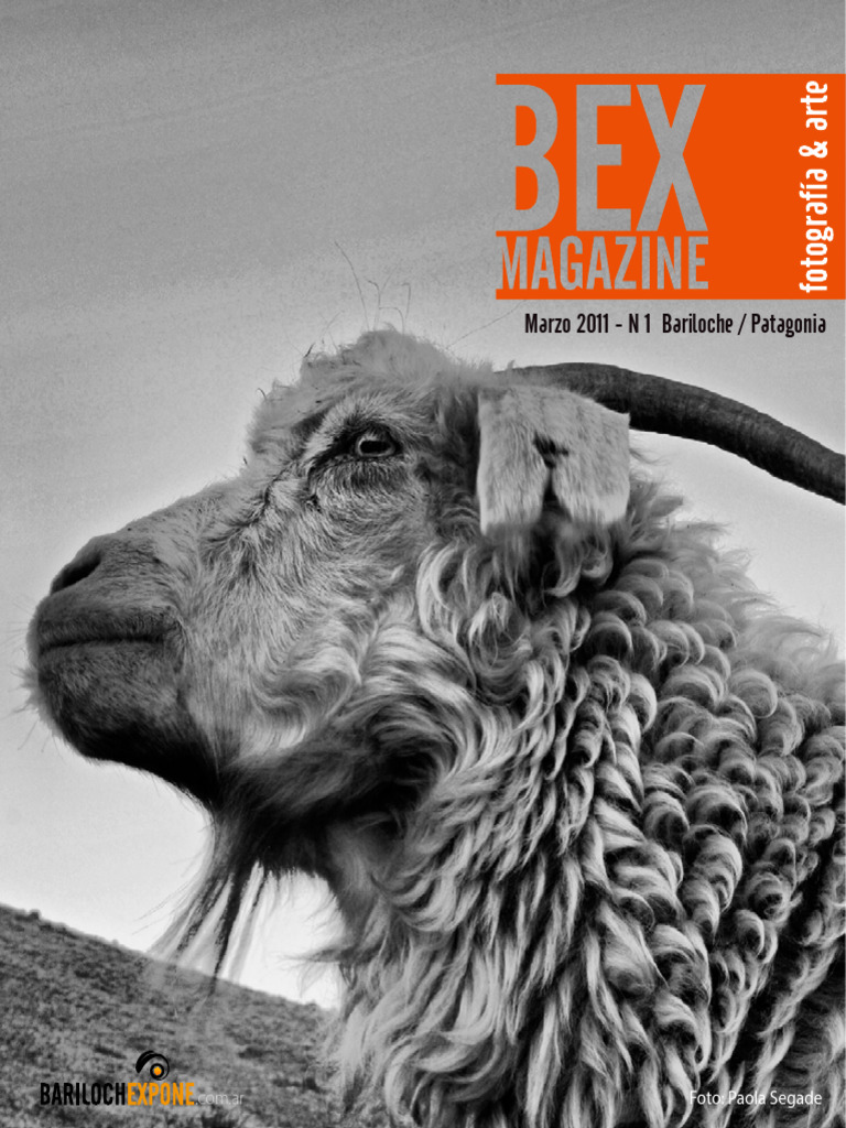 Bex 1 | PDF