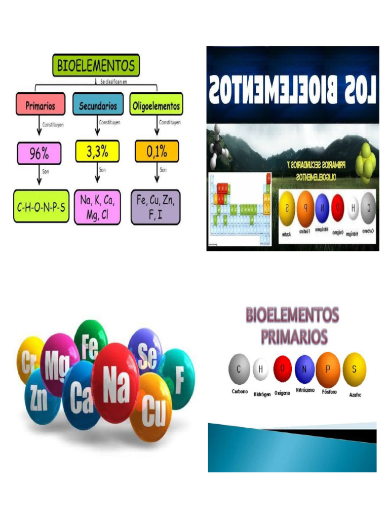Composición de La Vida y Bioelementos 2 | PDF