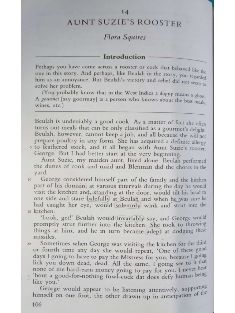 Aunt Suzie's Rooster by Flora Squires | PDF