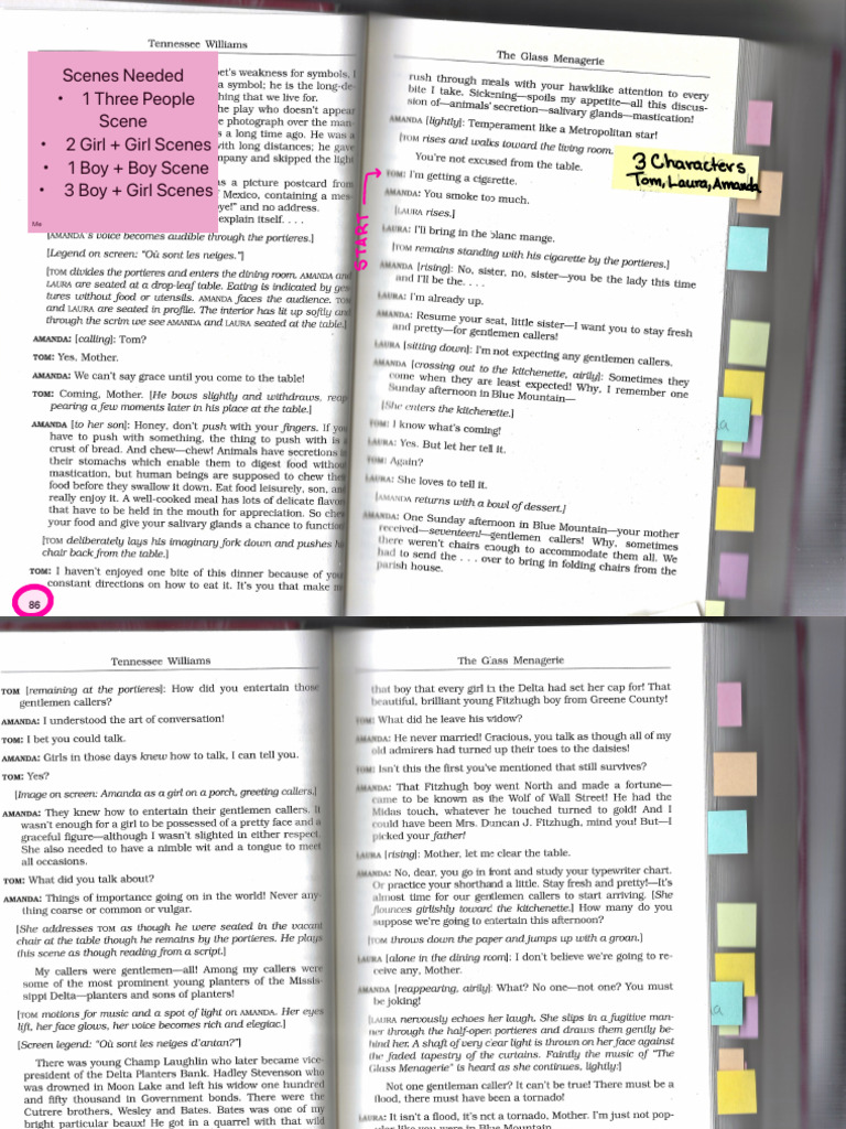 Glass Menagerie Scene Selections | PDF