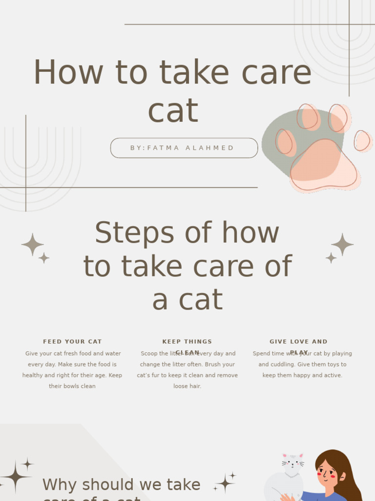 Essential Cat Care Tips Guide | PDF