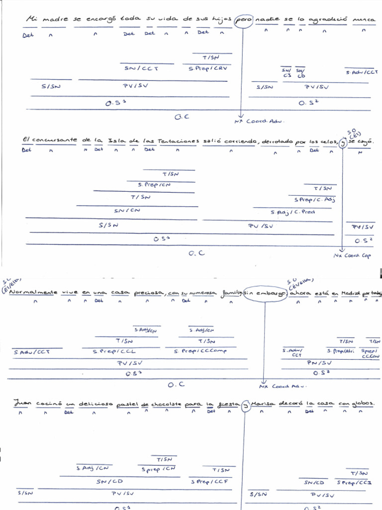 Análisis Sintáctico de Oraciones Compuestas Coordinadas | PDF