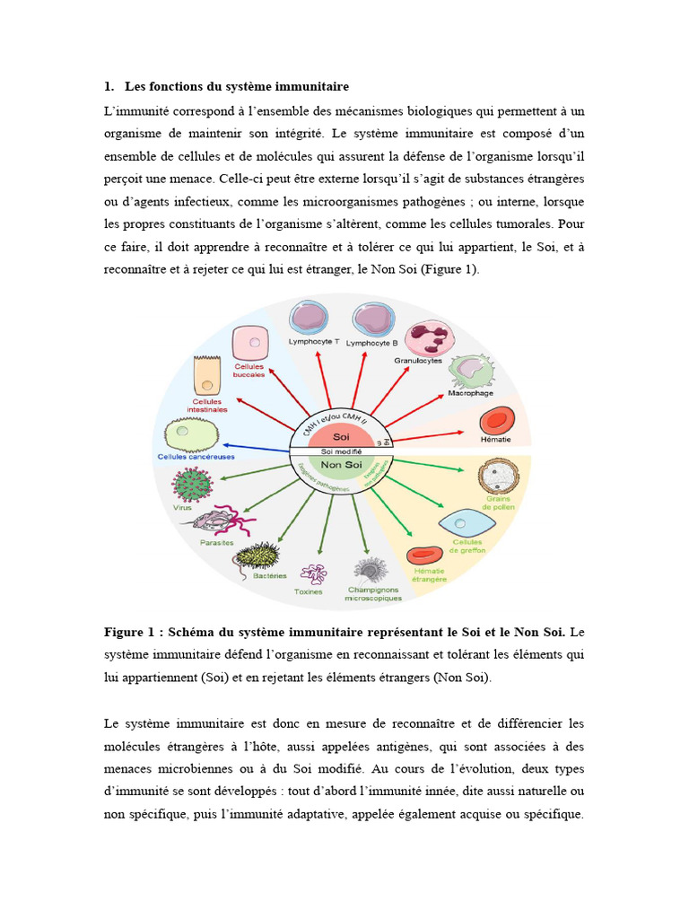 Fonctions et types du système immunitaire | PDF | Système immunitaire ...