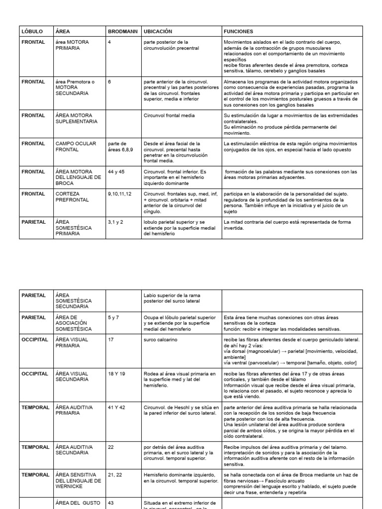 Áreas Imprimir | PDF | Lóbulo frontal | Lóbulo temporal
