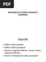 Partogramme | PDF | Accouchement | Médecine