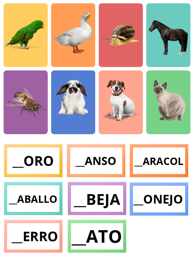 Aprende Los Animales Foto Flashcard Tarjetas | PDF