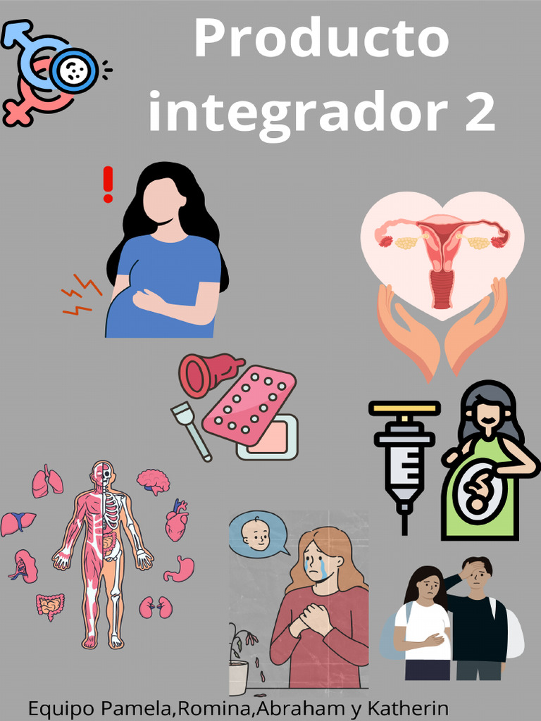 Proyecto Integrador 2 .PDF | PDF