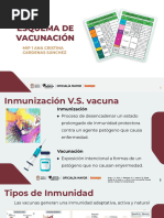 Infografía NOM 036 SSA2 2012 | PDF | Vacunas | Medicina CLINICA