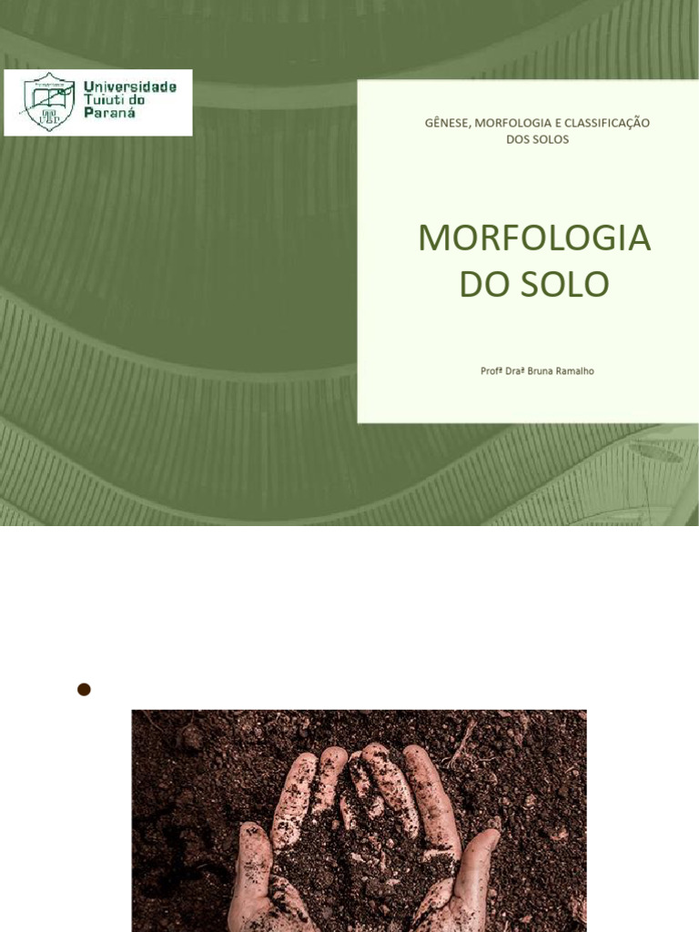 20241022_193254_Aula - Morfologia do Solo | PDF | Solo | Argila