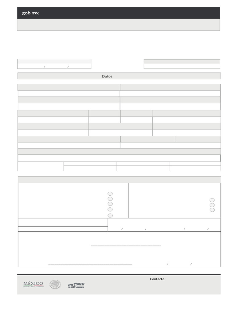 Formato DC-2 Enero 2025 | PDF