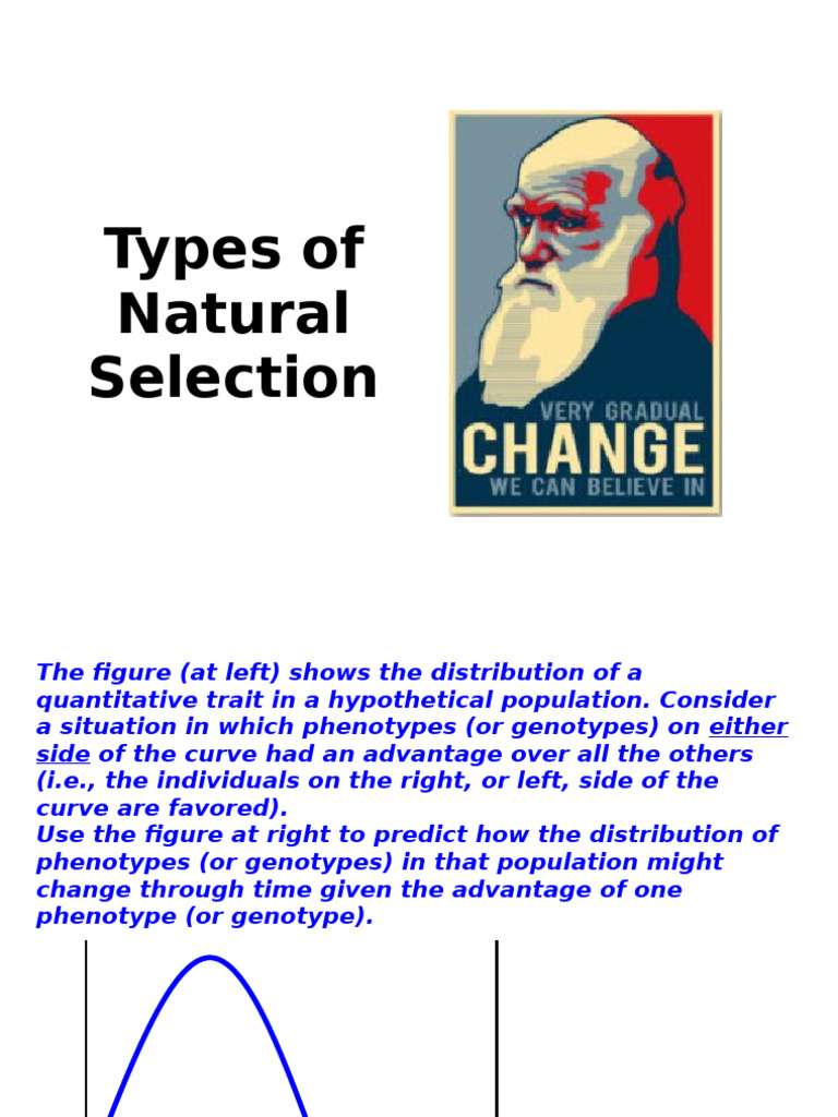 Lecture 4.7 - Directional, Stabilizing & Disruptive Selection | PDF | Natural Selection ...