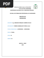 Practico 1 Sublimación Del Yodo 2023 | PDF | Yodo | Tiroides