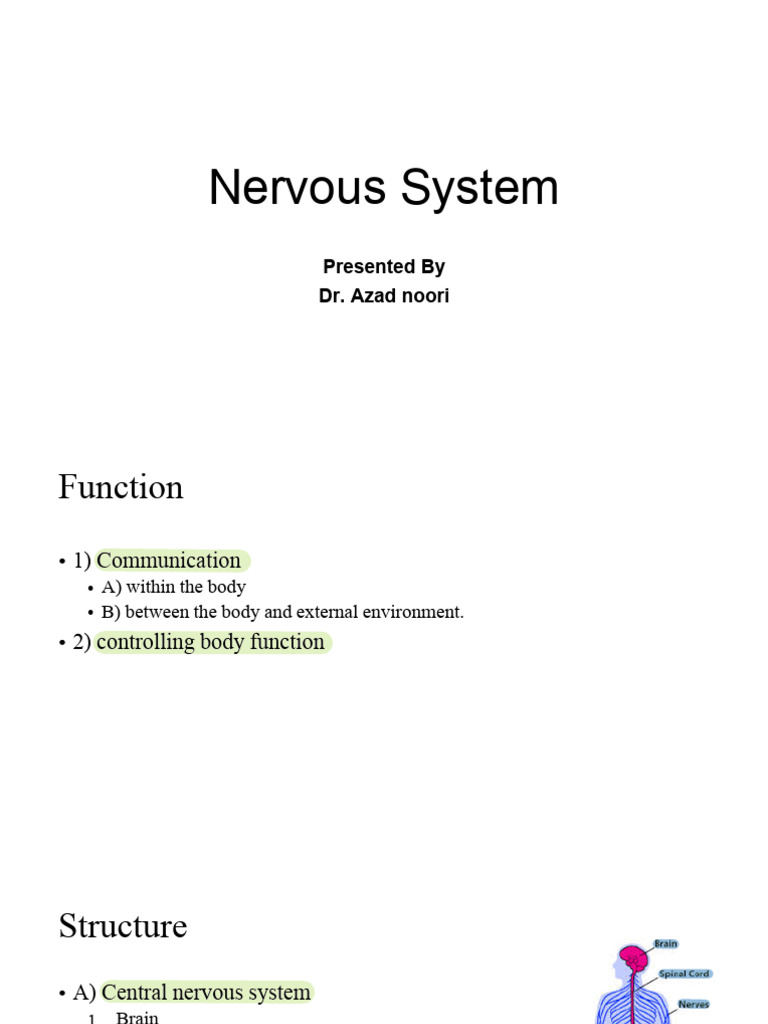 Terminology Nervous System | PDF | Central Nervous System | Nervous System