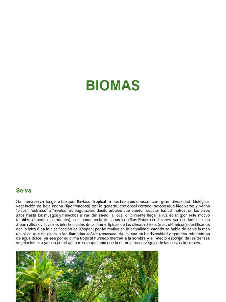 Tarea Biomas | PDF | Selva | Desierto