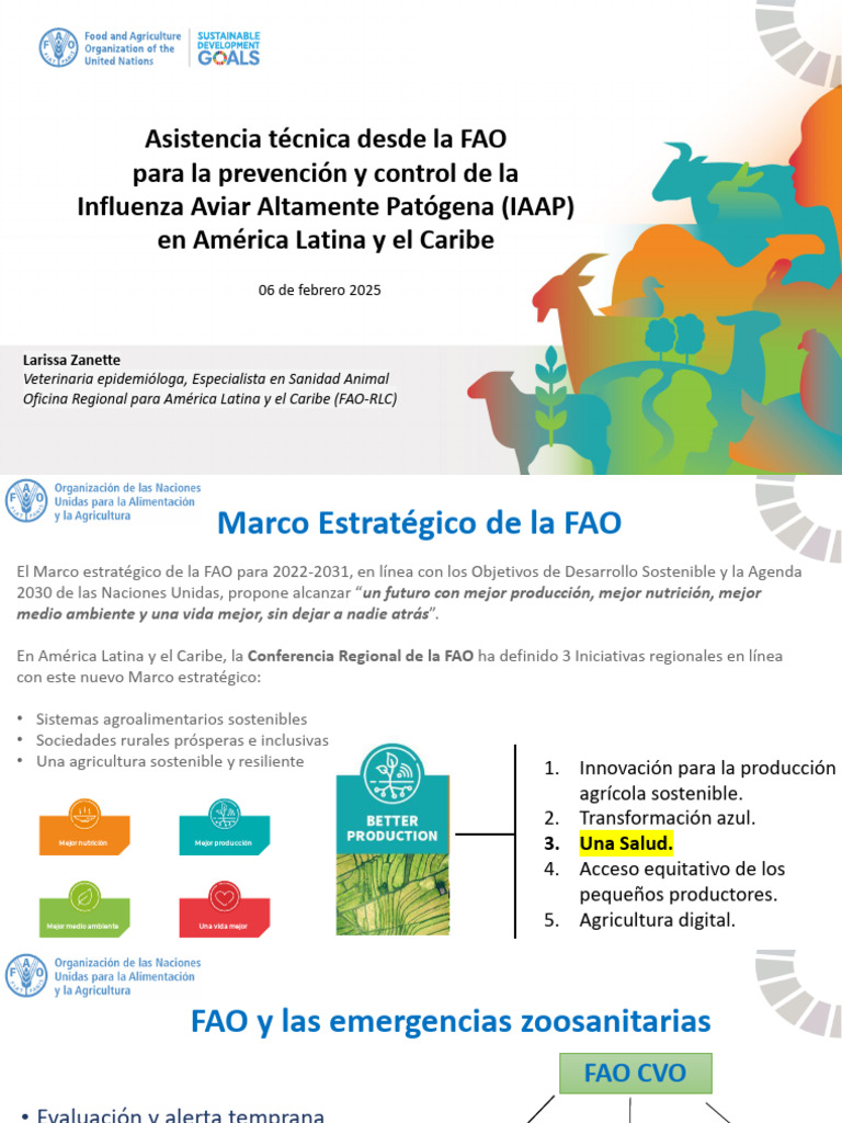Larissa Zanette IAAP - PPT Webinar06022025 | PDF | Organización de Comida y Agricultura ...