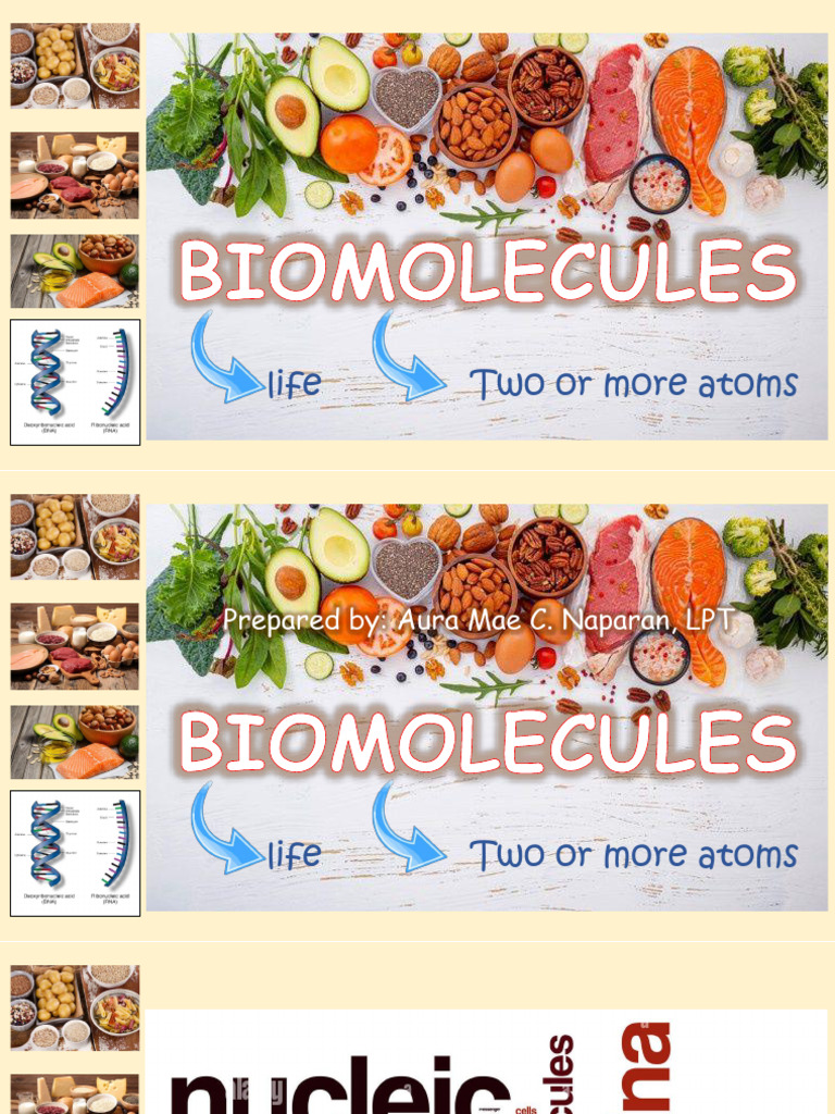 11.BIOMOLECULES-nucleic-acid | PDF | Nucleotides | Rna
