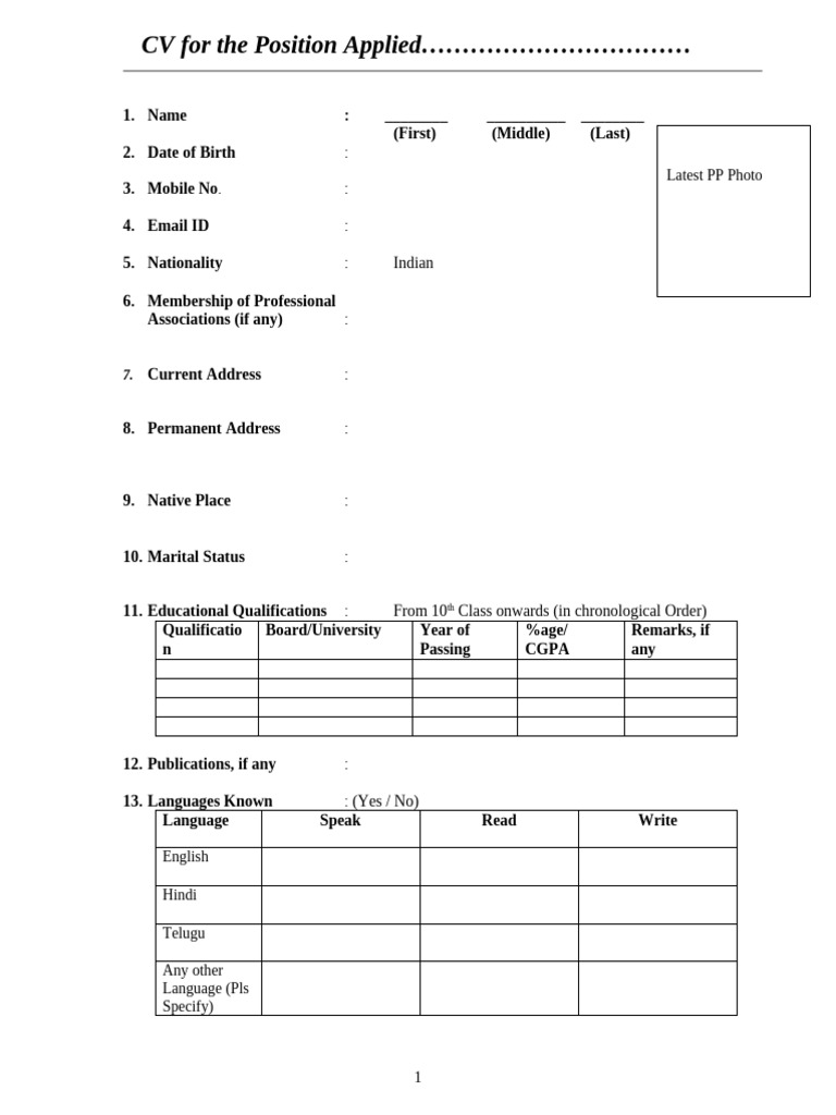 Comprehensive CV Template for Job Applications | PDF