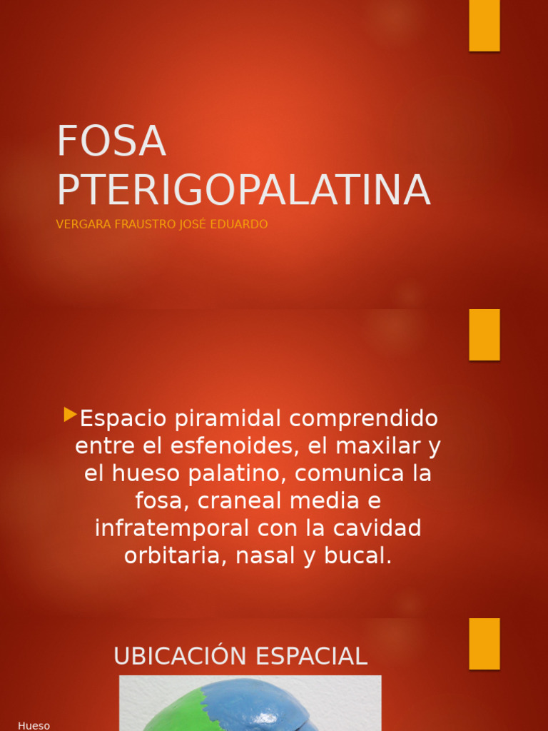 Fosa Pterigopalatina: Anatomía y Funciones | PDF