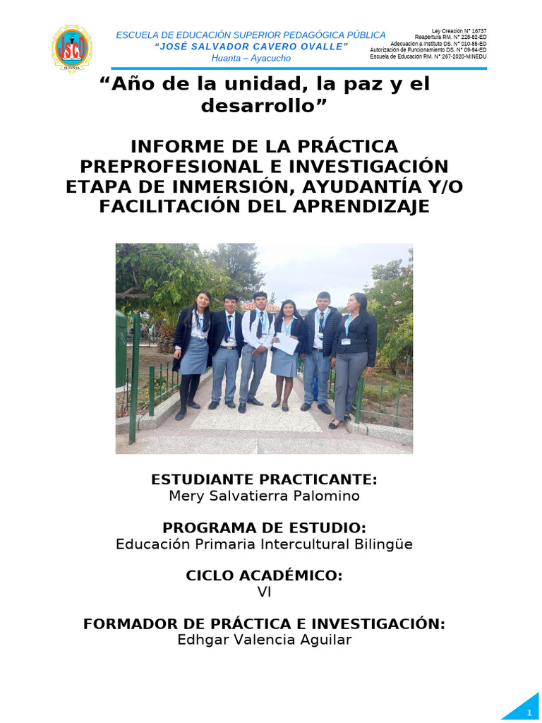 Esquema Informe Practica Preprofesional 2023-VI | PDF | Enseñando ...