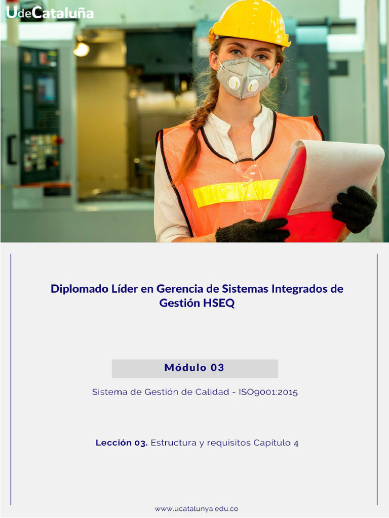 Leccion 03. Estructura y Requisitos Capitulo 4 | PDF