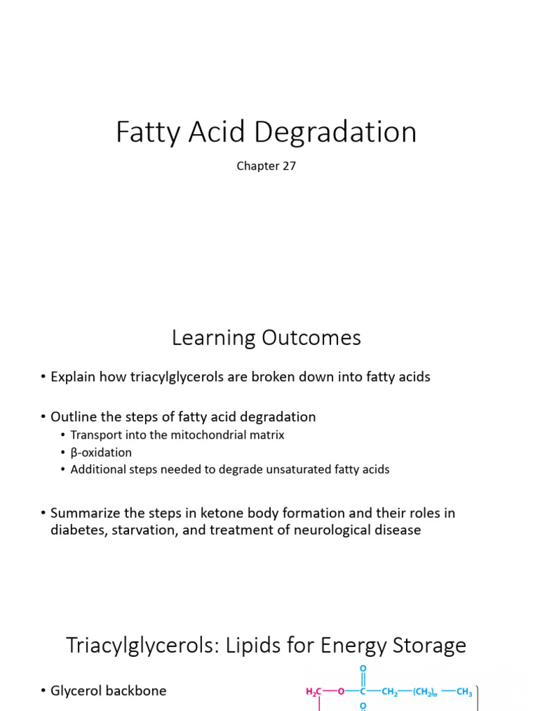 Chapter 27 - (Fatty Acid Degradation) | PDF | Ketosis | Lipid