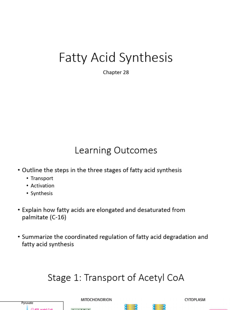 Fatty Acid Synthesis Overview | PDF | Biosynthesis | Biochemistry