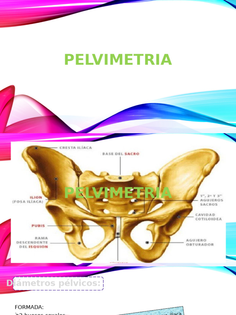 Diámetros Pélvicos En Pelvimetría Pdf Pelvis Sistema