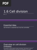 Mitosis and the Cell Cycle - Cell Division - AQA - GCSE Biology (Single ...
