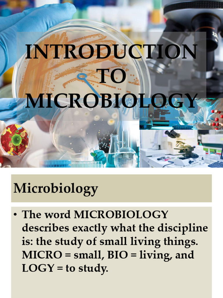 INTRODUCTION TO MICROBIOLOGY ppt1 | PDF | Microbiology | Microorganism